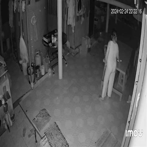 Datanew1 Object Detection Dataset V2 2024 02 25 8 12am By Ctuet