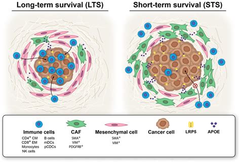 Spatial Transcriptomics Depict Ligand Receptor Crosstalk Heterogeneity