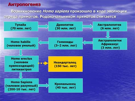 Проблема человека в философии - презентация онлайн