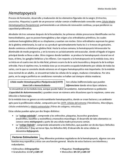 Hematopoyesis Pdf Hematopoyesis Sangre