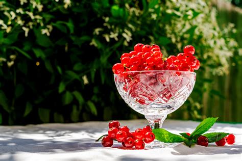 흐린 꽃의 배경에 흰색 천과 테이블에 크리스탈 유리 스탠드에 신선한 빨간 건포도 올해의 신선한 수확 건강 식품의 개념 비타민 C 텍스트에 대 한 공간을 복사 0명에 대한