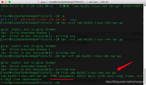 linux服务器安装jenkins全过程 jenkins服务器安装 csdn博客
