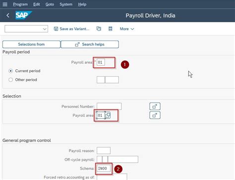 Execute Payroll In SAP HR