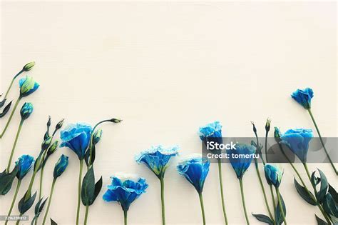 나무로 된 백색 배경 위에 파란 꽃 구성의 평면도 이미지 벽지 플랫 레이 0명에 대한 스톡 사진 및 기타 이미지 0명 개념 계절 Istock