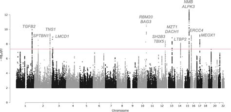Manhattan Plot Showing The Loci With Genome Wide Significance In The Download Scientific