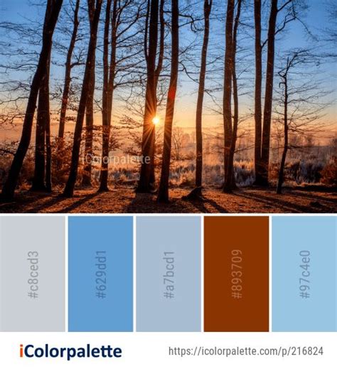 Color Palette Ideas From Sky Tree Nature Image Nature Images Color Palette Color Schemes