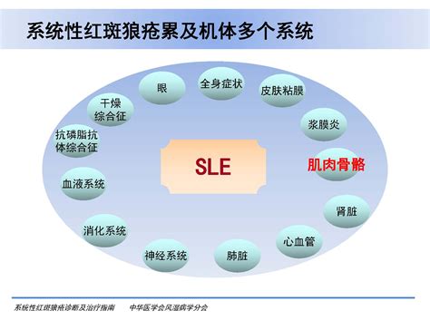 学术课件详情