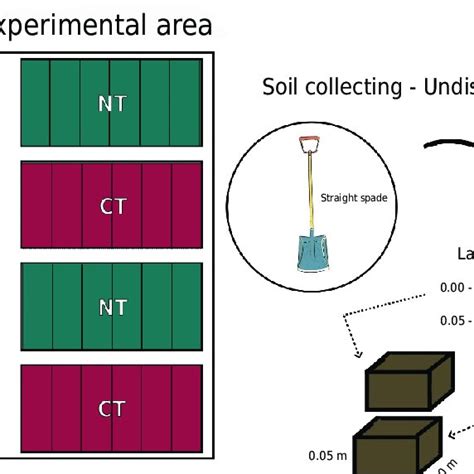 Form Of Undisturbed Soil Collection For The Study Of Soil Aggregation Download Scientific