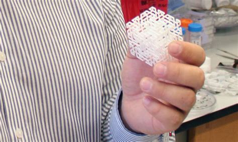 Hollister Lab Develops 3d Printing Designs For Soft Tissue Engineering