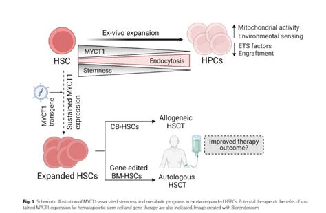 Cscr Cmc Instem On Linkedin Publication Genetherapy Stemcells