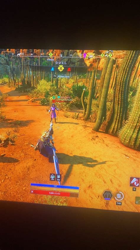 Does Swinging With The Greatsword Look Like This For Everyone Or Is It Just Me And My Internet