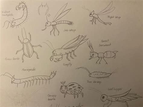 Jungle Bugs 2 By Swordartist27 On Deviantart