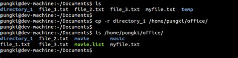 Cómo Usar El Comando Cp Para Copiar Archivos Y Directorios