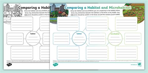 Comparing A Habitat And Microhabitat Mind Map Teacher Made