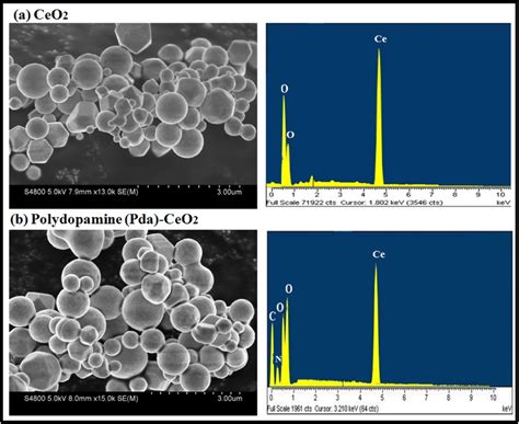 Sem Edx Analysis Of Cerium Oxide Ceo2 And Polydopamine Cerium Oxide Download Scientific