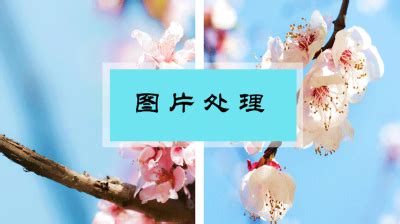 图片处理长青联盟智慧树网