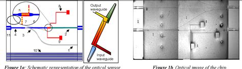 Figure 1 From Topicnemsmems Poster Low Cost Optical Microfluidic