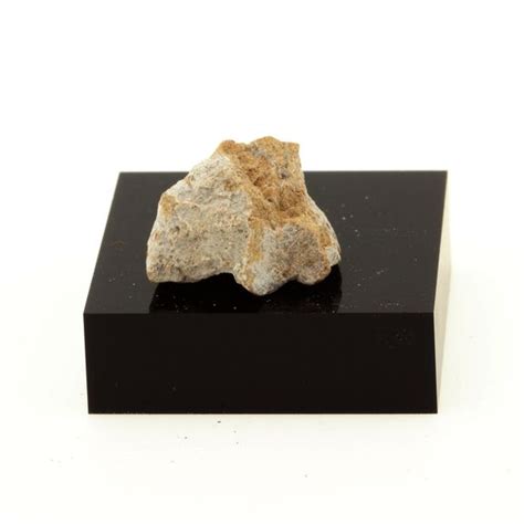 Fossiliferous Limestone 11 2 Cts