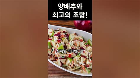 양배추와 최고의 조합 Youtube