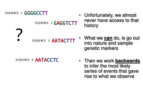 PPT Molecular Phylogenetics PowerPoint Presentation Free Download ID 1391277