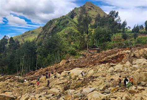 Replanting Trees Can Help Prevent Devastating Landslides Like The One