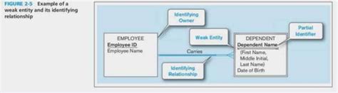 Solved 1 Add Minimum And Maximum Cardinality Notation To Each Of The 1 Answer