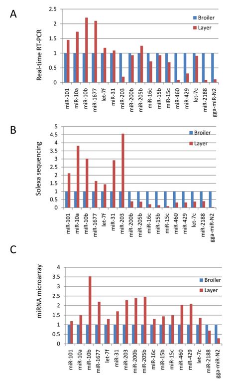 Validation Of Differentially Expressed Mirnas Using Real Time Rt Pcr Download Scientific Diagram
