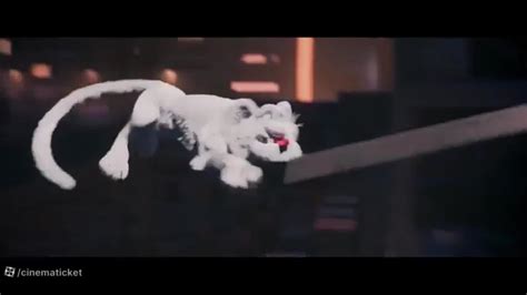 انیمشین وکارتون بچه زرنگ انیمیشن، فیلم وسریال