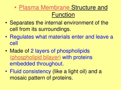 PPT Plasma Membrane Structure And Function PowerPoint Presentation Free Download ID 4291030