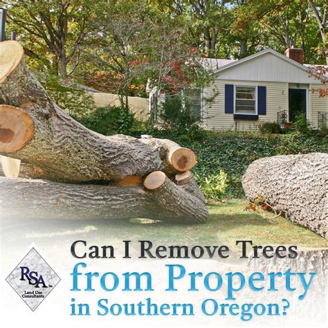 Can I Remove Trees From Property In Southern Oregon Richard Stevens And Associates Inc