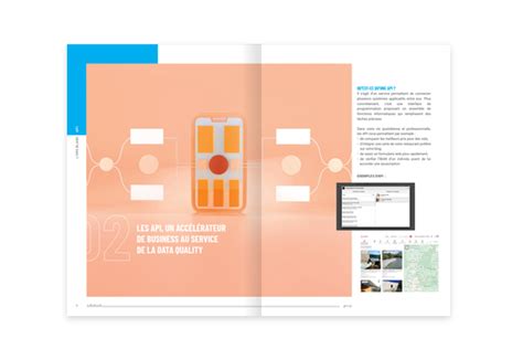 Comment Automatiser Votre Data Quality Management Grâce Aux Api Api