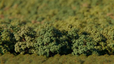 Geotree Procedural Trees In Geometry Nodes 1174 By Foxter Blender And Cg Discussions