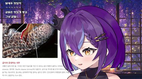 납량특집으로 담력훈련하다가 납치당해서 알바했다가 굿 이브닝 굴레에 빠져서 슬펐다 그리고 오늘도 나는 Ai의 발전을 막았다 잘했다 Youtube