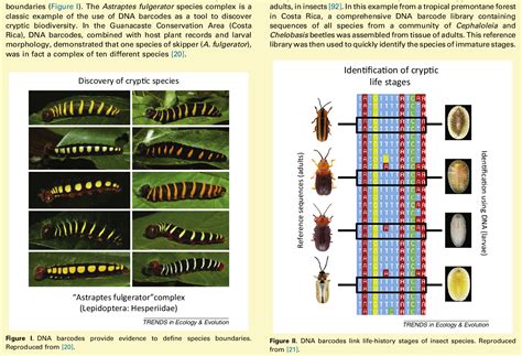 Figure Ii From Dna Barcodes For Ecology Evolution And Conservation
