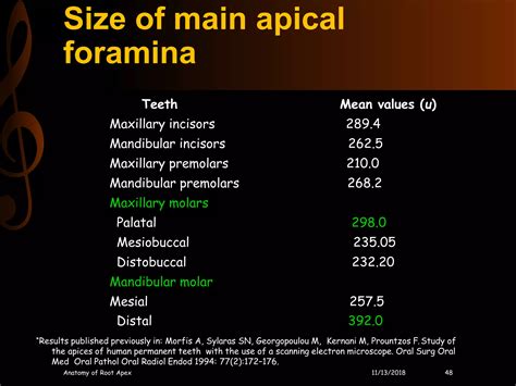 Anatomy Of Root Apex PPTX