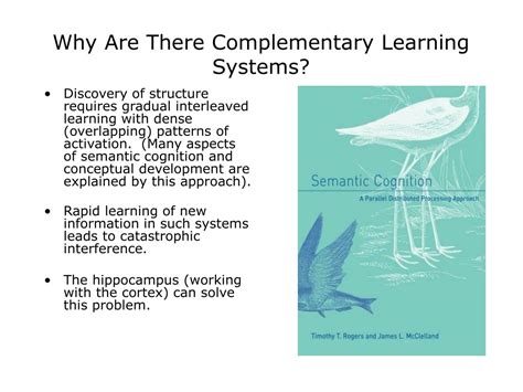 Ppt Cooperation Of Complementary Learning Systems In Memory Powerpoint Presentation Id9615185