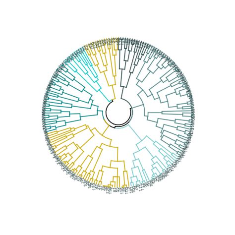 hierarchical clustering on categorical data in r by anastasia reusova tds archive medium