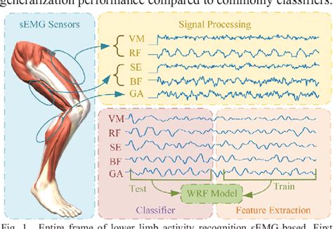 Figure 1 From Lower Limb Activity Recognition Using Semg Signals Via Weighted Random Forest