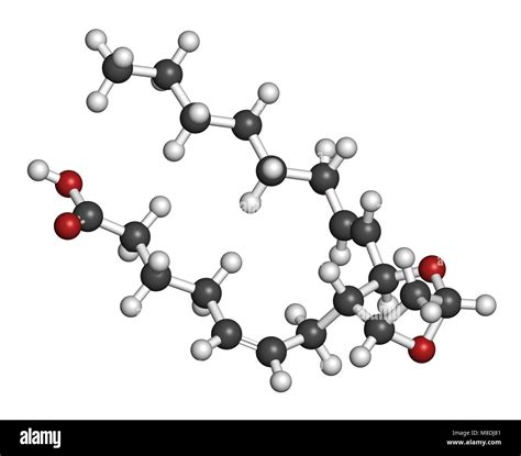 Thromboxane A Synthase Cut Out Stock Images And Pictures Alamy