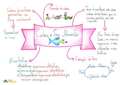 Mapa Mental Cadeia Alimentar Alimentar Ciencias Biologicas Porn Sex Picture
