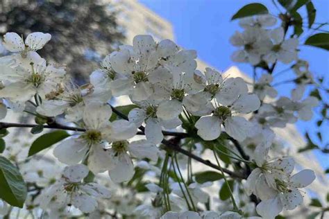 Гороскоп на травень 2023 року Терезам і Скорпіонам доведеться зіткнутися зі складнощами та