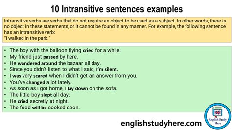 10 Intransitive Sentences Examples English Study Here
