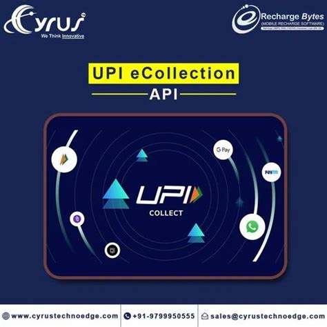 e commerce solutions service at ₹ 34999 pack in jaipur