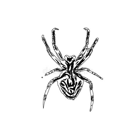 Sketch Of A Spider For An Element In Making Logos And Activity Symbols Stock Illustration