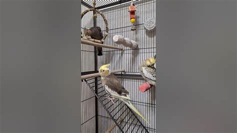 Мы с тобой одной крови Youtube