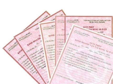 Dịch vụ tư vấn cấp Giấy phép kinh doanh vận tải bằng ô tô Công ty