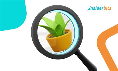 Identify Trees With Free Plant Recognition Apps