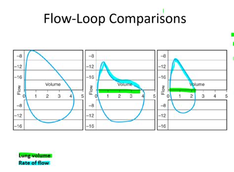 Flow Loop Comparisons Diagrams Diagram Quizlet