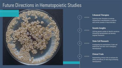 Future Directions In Hematopoietic Studies Compensatory Hematopoiesis