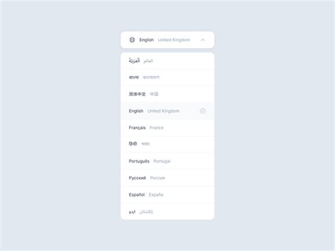 Language Selector Exploration By Lee Barguss On Dribbble